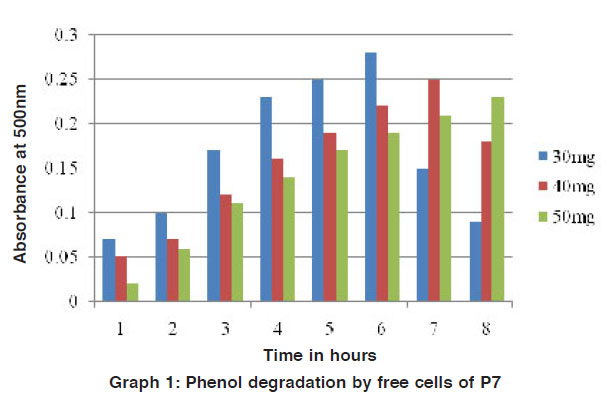 Bioremediation of phenol and naphthalene by Bacillus species and ...