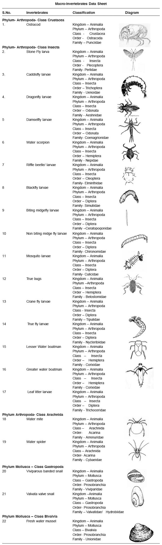 Identification and classification of some freshwater invertebrates in ...