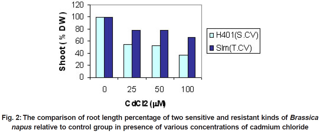 The measurement of sprouting amount of dry and fresh weight in plant ...